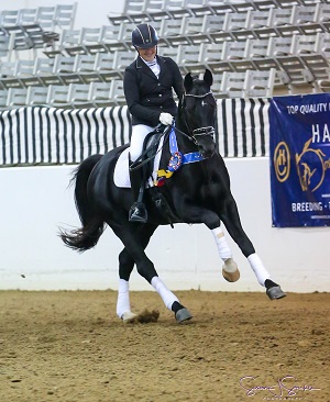 Select Breeders Services - Dawn Chamorro