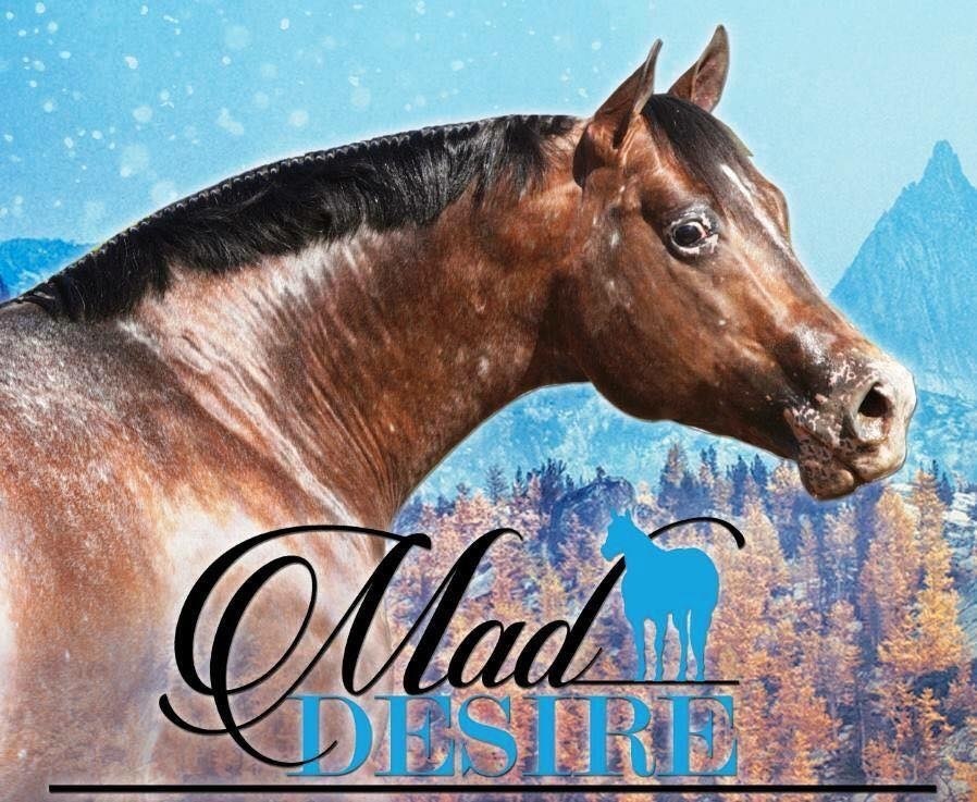 Select Breeders Services - Mad Desire